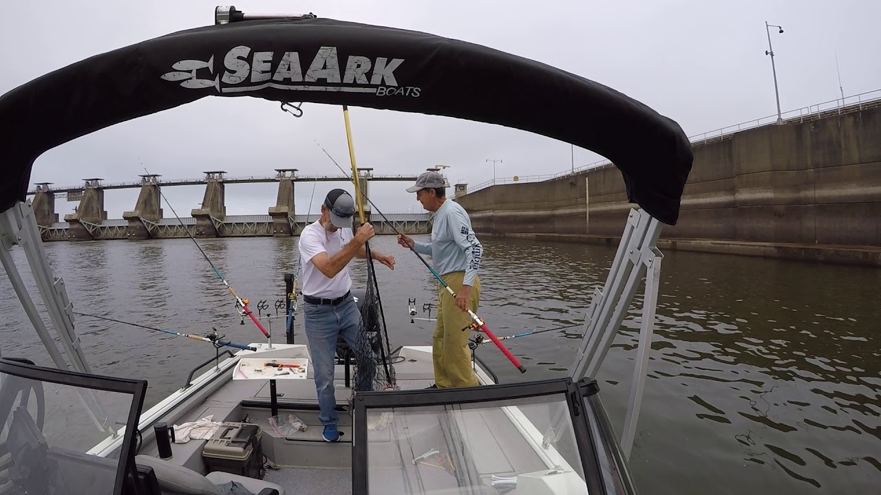 Arkansas River Catfishing with Dan McCaulley - YouTube