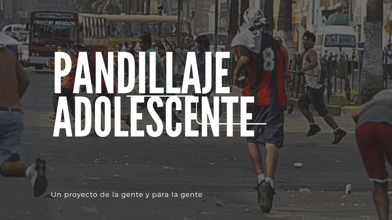 PANDILLAJE ADOLESCENTE COMO PROBLEMÁTICA SOCIAL - GRUPO 2 CURSO ...
