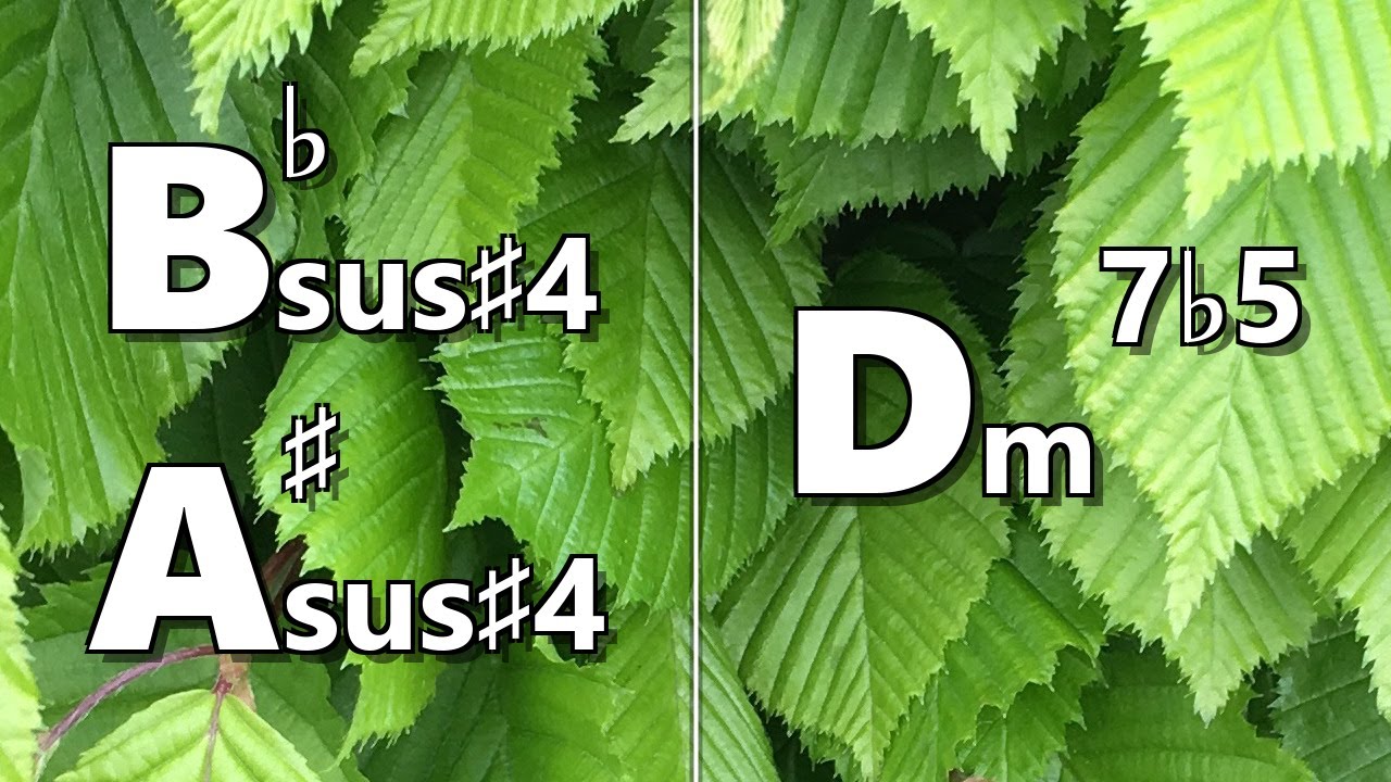 Bbsus #4 (A#sus #4) to Dm7b5 Backing Track - YouTube