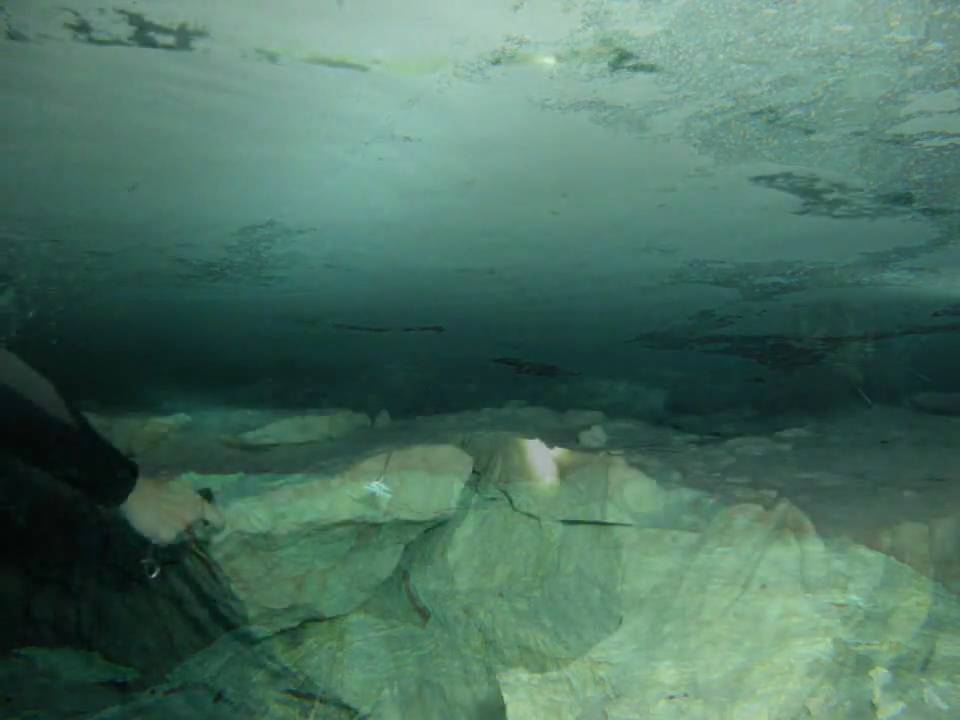Ixchel Cave Dive - YouTube