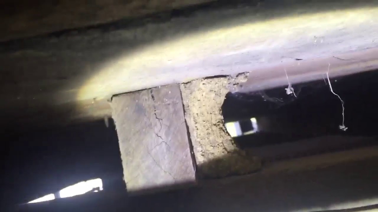 termite leads in subfloor video 2 - YouTube