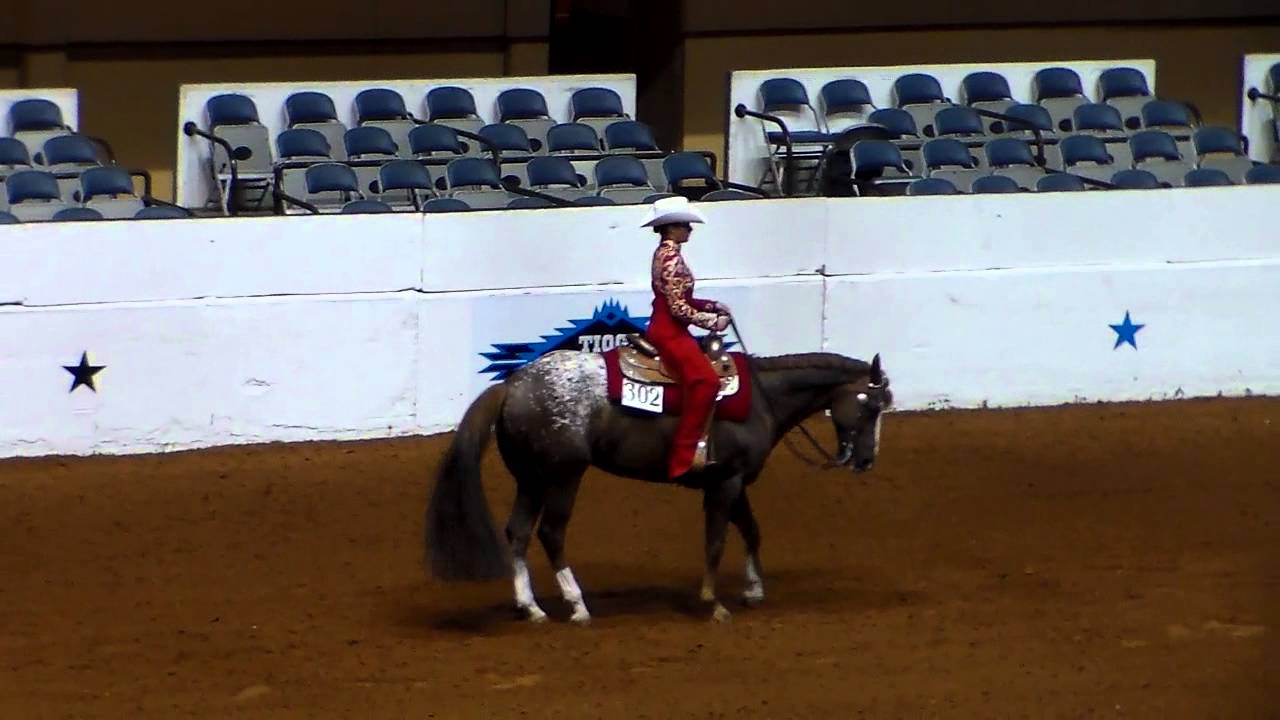 Haley Pembroke- Novice Western Horsemanship - YouTube