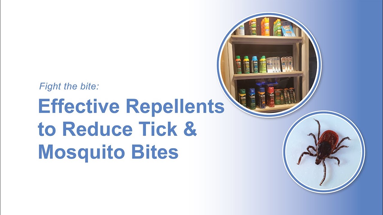 Fight the Bite: Effective Repellents to Reduce Tick and Mosquito Bites ...