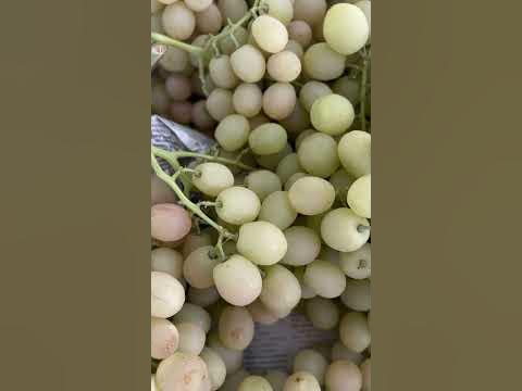 Manekurfinger uzum navi 2024 - YouTube