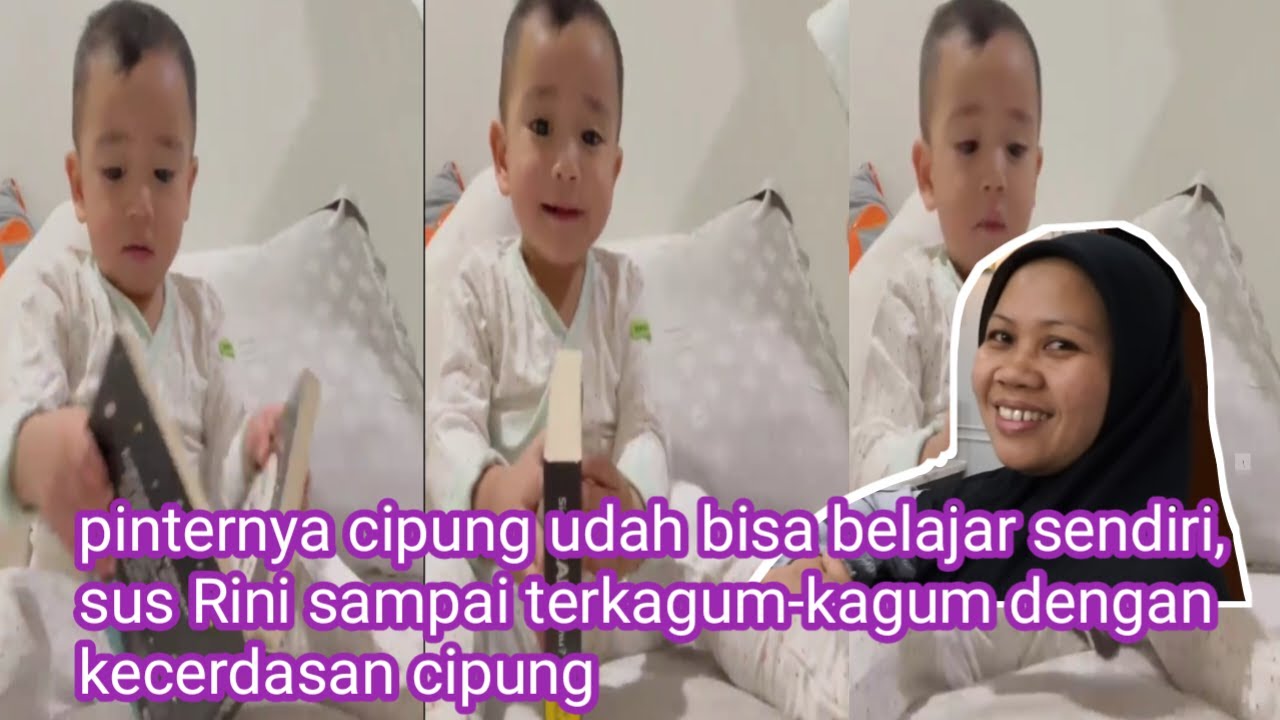 Cipung terbaru‼️ pinternya cipung udah bisa belajar sendiri, sus Rini ...
