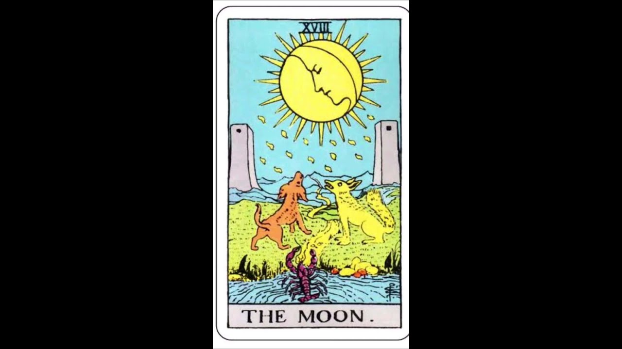 The Moon Tarot Card: Hidden Truths & Intuition Revealed 🌙🔮 📝 ...
