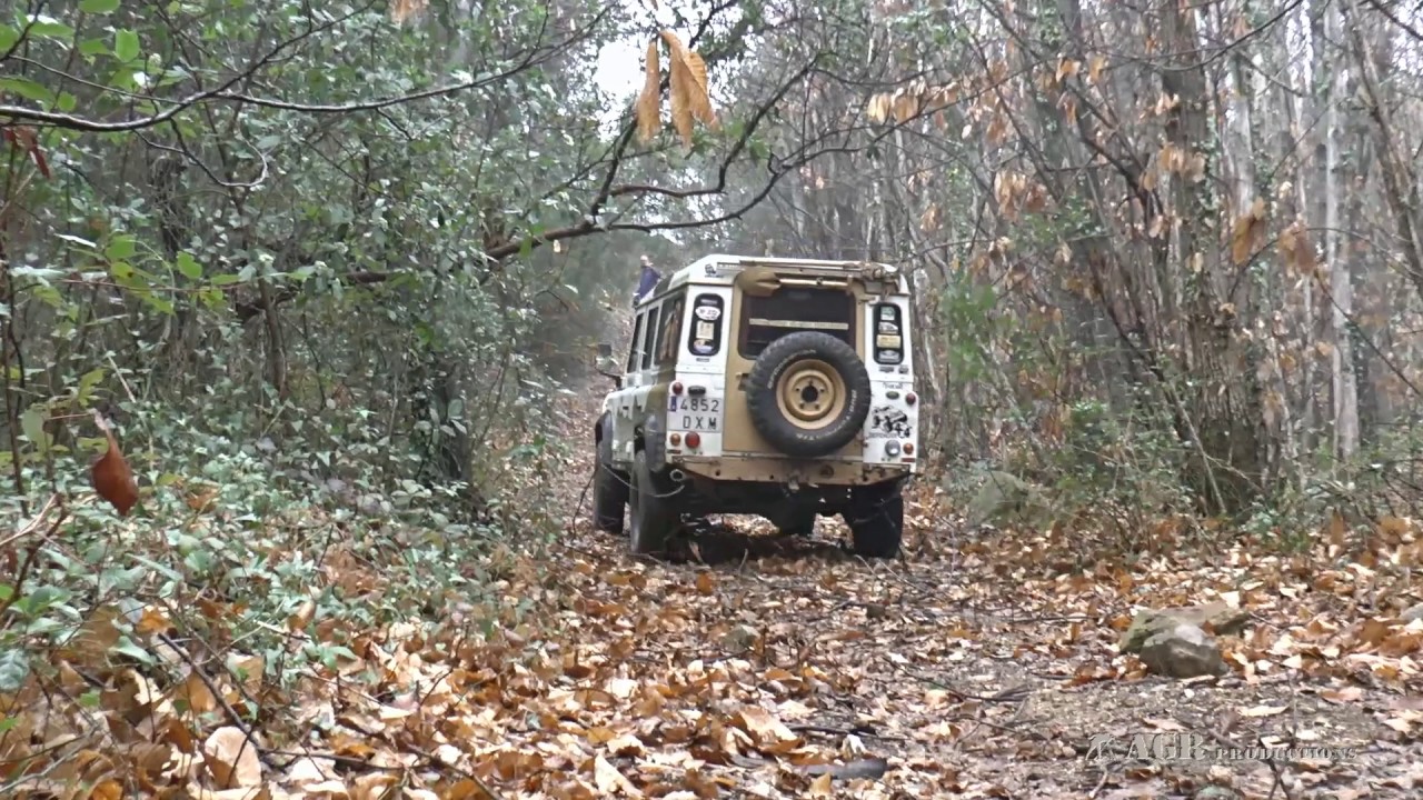 LAND ROVERS IN THE WOODS - YouTube