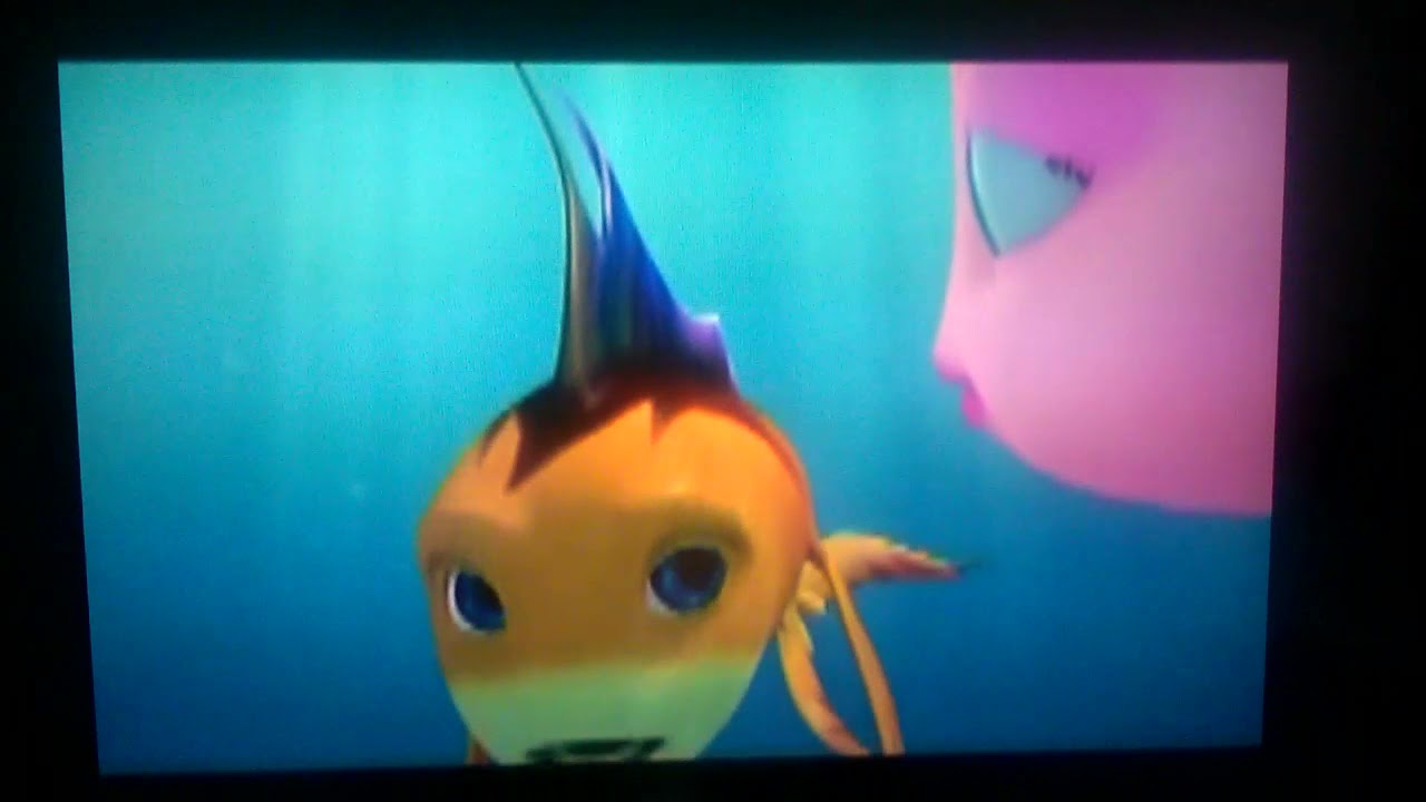 Peces de Pi y Cordelia/The Reef - YouTube