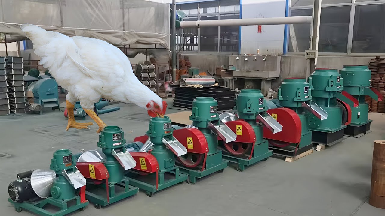 I Found the Best Small Manufacturing Business Machines - YouTube