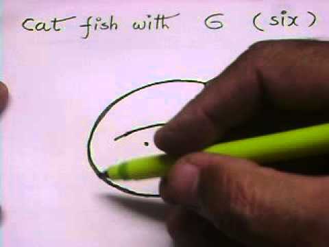 How to draw the visual symbol of cat fish with number six - YouTube