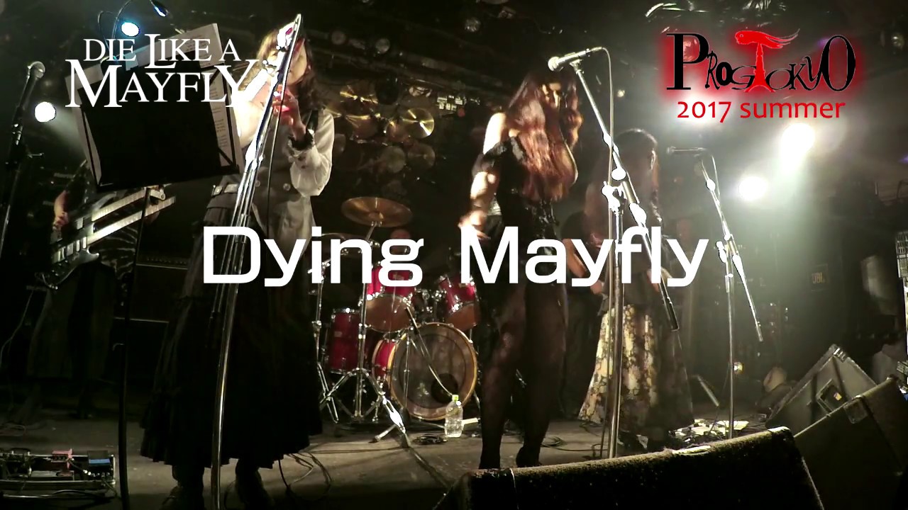 Dying Mayfly special session ProgTokyo2017 -Goddess of The Abyss ...