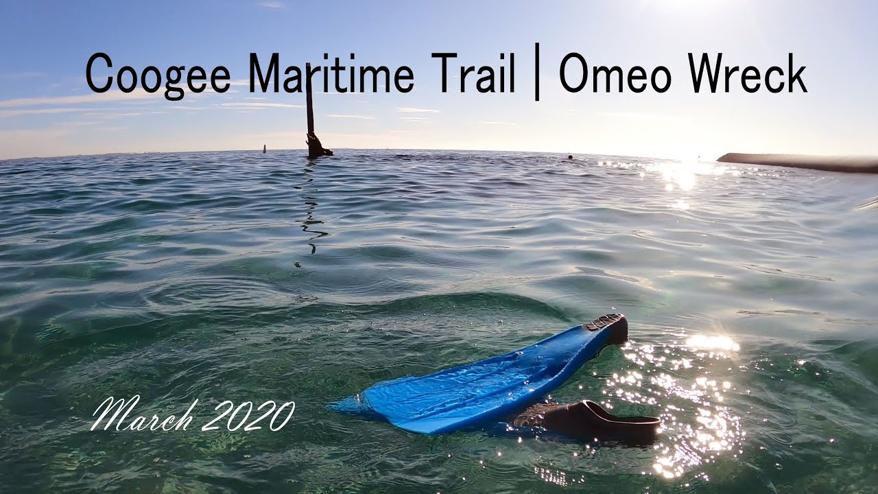 OMEO SHIPWRECK cuttlefish | Perth Western Australia Coogee - YouTube