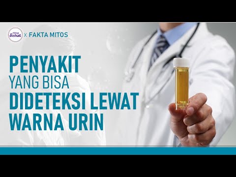 Penyakit Apa Saja yang Bisa Dideteksi Lewat Urin? | Hidup Sehat tvOne