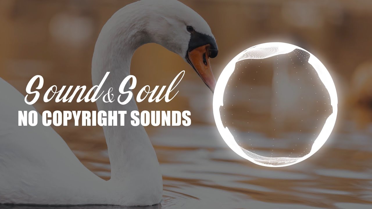 More Plastic - Old School [NCS Release] - YouTube