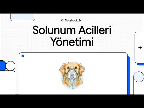 Veteriner Acil 3.Bölüm: Solunum Acilleri