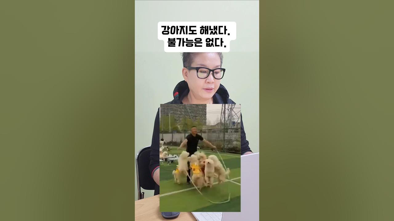 강아지도해냈다 강아지줄넘기 메가명옥 동기부여 웃긴영상 Youtube