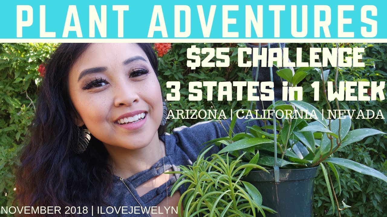 Plant Adventures: $25 Challenge 3 States in 1 week | Nov 2018 ...
