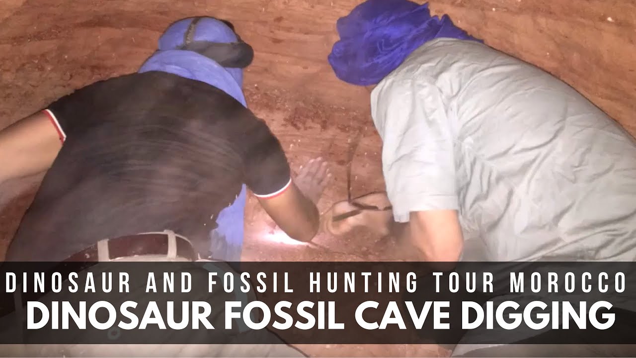 Dinosaur & fossil hunting tour Morocco | Dinosaur fossil cave digging ...