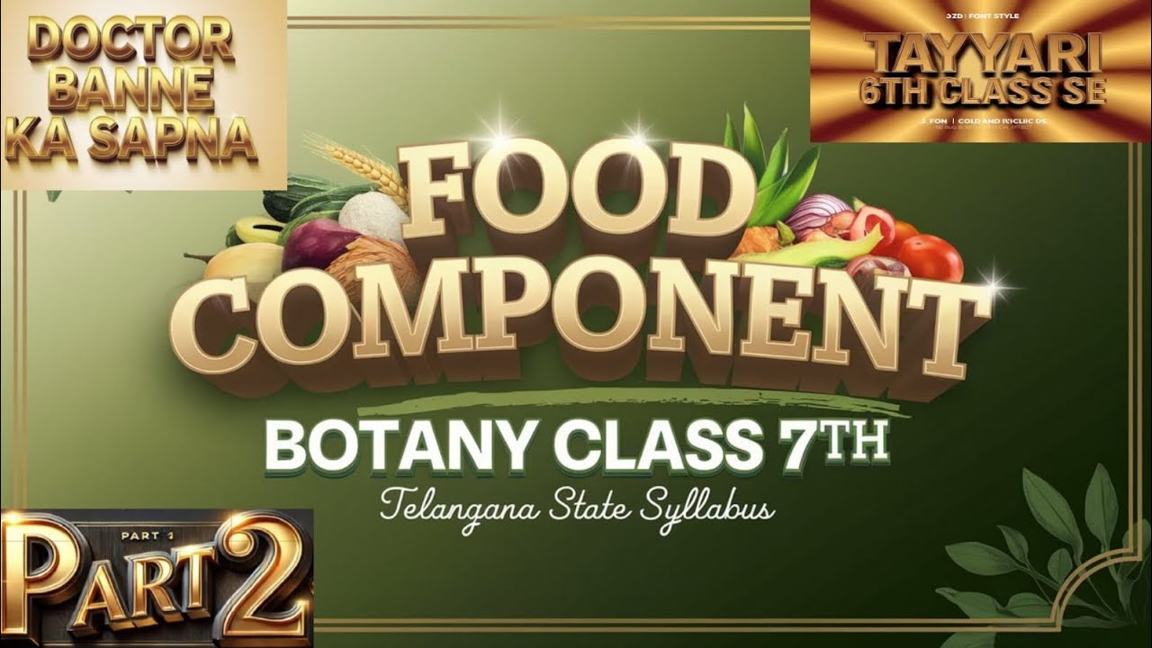 "Food Components: The Building Blocks of Nutrition" - YouTube
