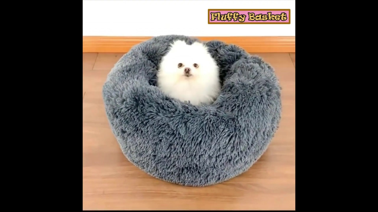 Fluffy Basket - Dogs Puffy Heaven - YouTube