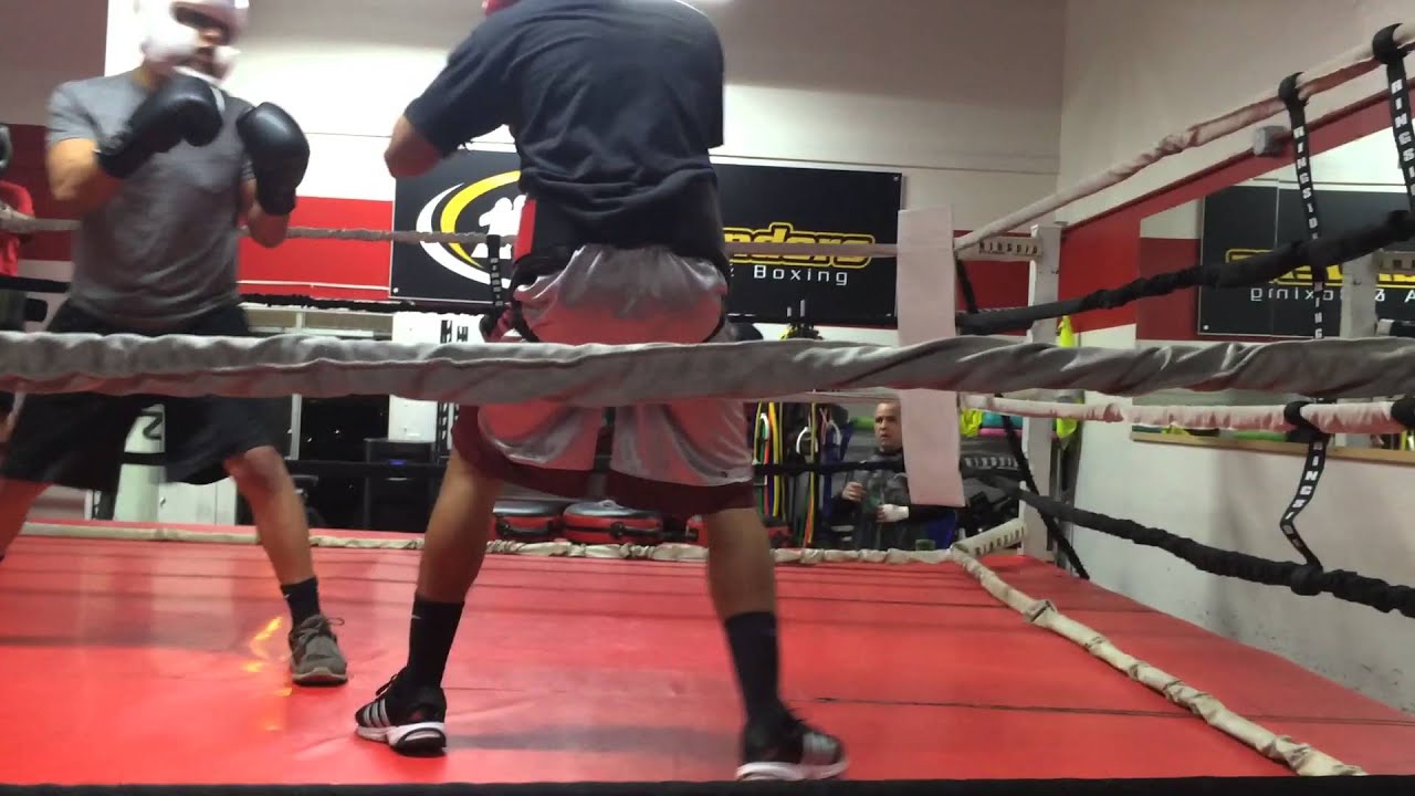 Rounders mma and boxing - YouTube