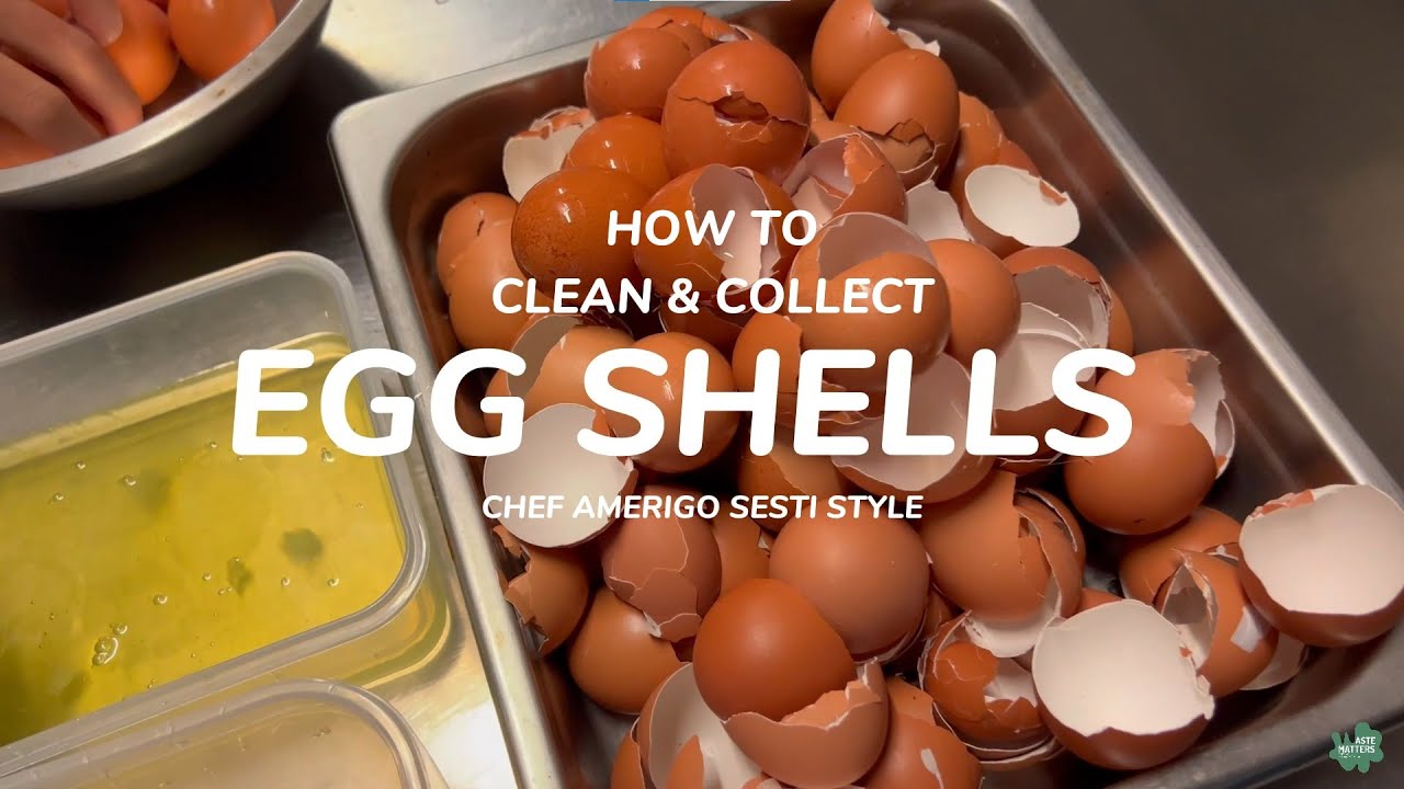 How to Clean&collect (Egg Shells) - Chef Amerigo Sesti Style - YouTube