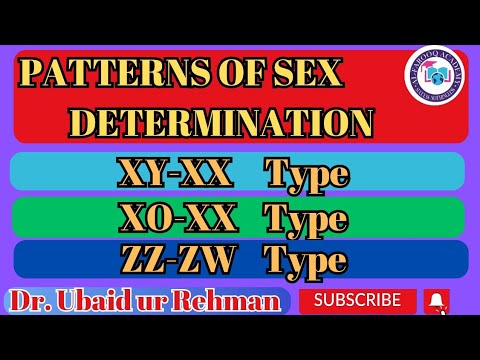 22.12 Patterns of Sex Determination | Autosomes vs Sex Chromosomes | Class 12 | Biology | XX-XY ...