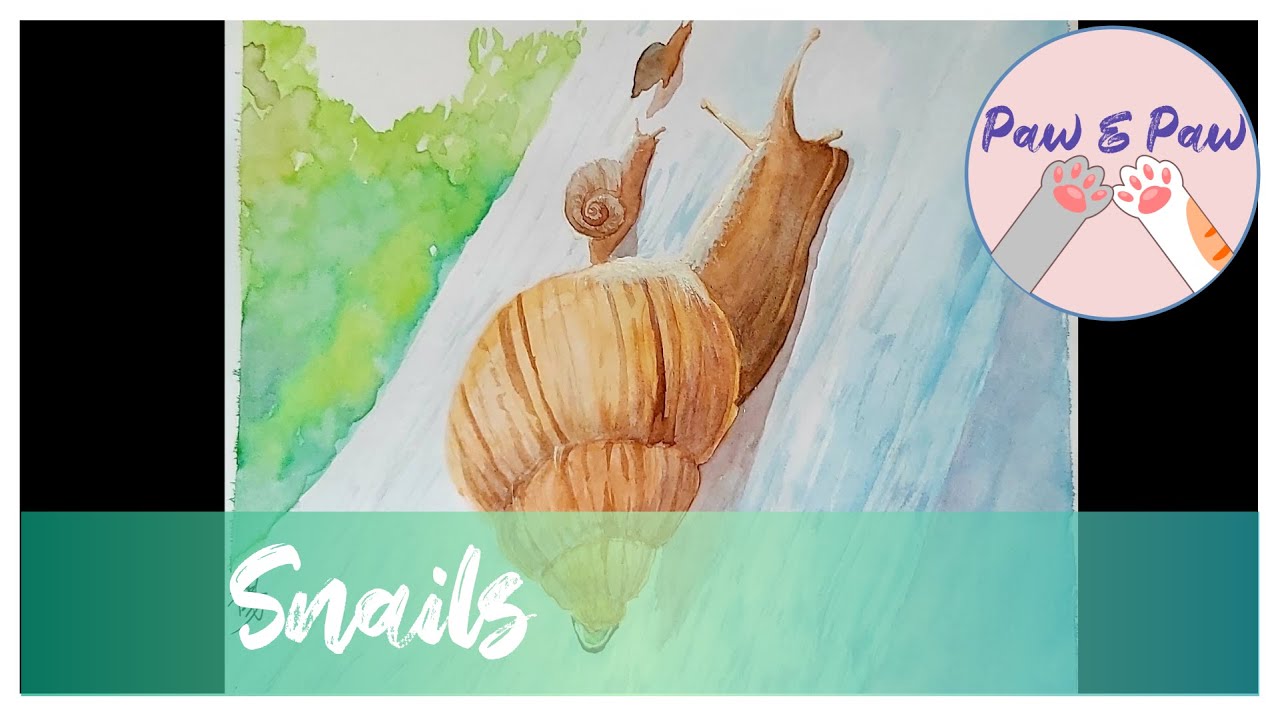 Watercolor Painting Snails - Free and Easy Style - YouTube