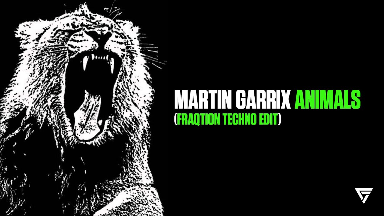 Martin Garrix - Animals (Fraqtion Big Room Techno Edit) - YouTube