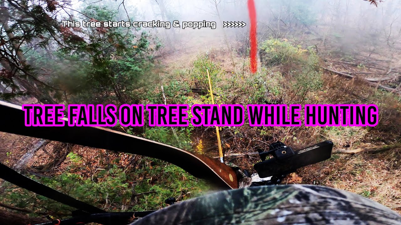 TREE FALLS ON TREE STAND WHILE DEER HUNTING IN A STORM - Saint Johns ...