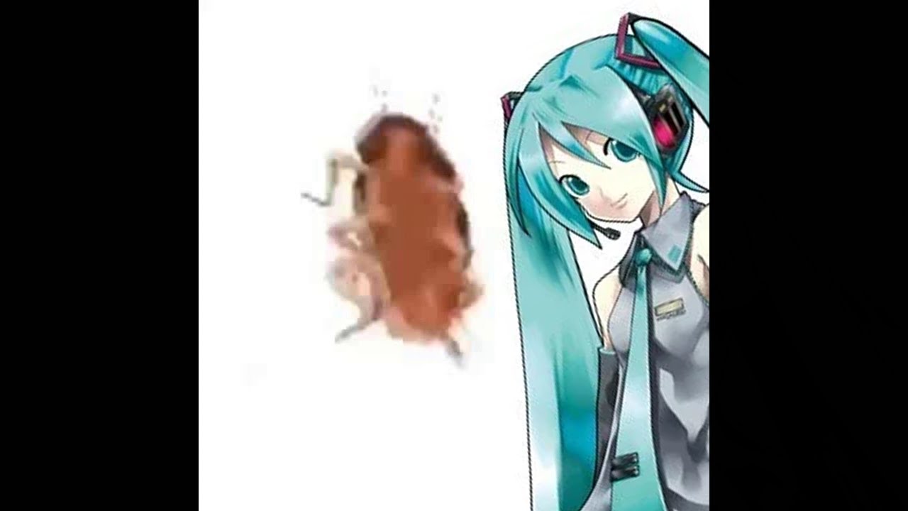 Cockroach Dancing to Hatsune Miku - YouTube