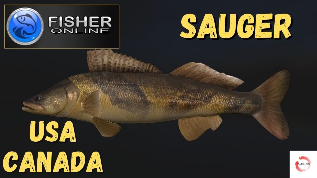 Fisher Online: Sauger Fishing Gameplay 🎮 | Trophy Fish USA/Canada - YouTube