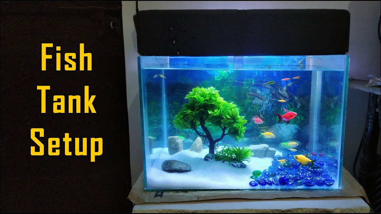 Simple Fish Tank Setup For Beginners. - YouTube