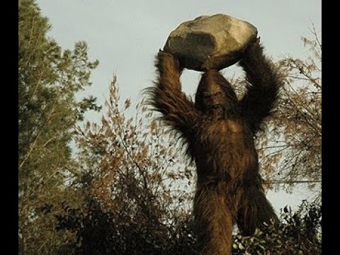 BIGFOOT SLUICE & MOVING ROCKS - YouTube