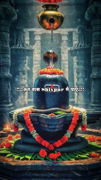 पूजा जप तप भक्ति Shiv hai ! Mahadev Status Video ! Shivshakti Status ! Shiva Status #trending # ...