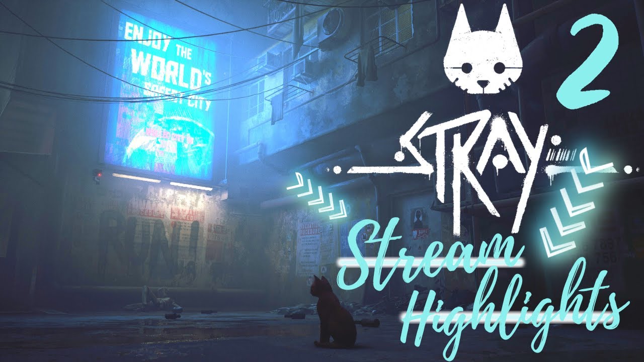 Where Are The Humans, b12? | Stray Stream Highlights | Part 2 - YouTube
