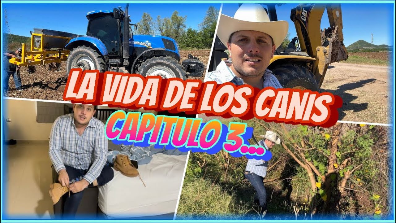 La Vida De Los (CANIS) (CAPITULO)3 EN LAS LABORES DEL CAMPO - YouTube
