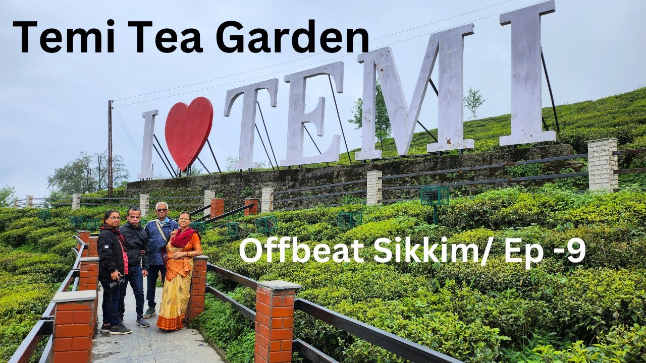 Ep- 9 I Temi Tea Garden I Offbeat Sikkim I Temi Tea Estate I Namchi to ...