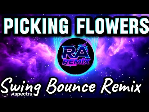 Boy In Space - Picking Flowers Swing Bounce Remix 🇵🇬 ( Repsaj Awik)  2026