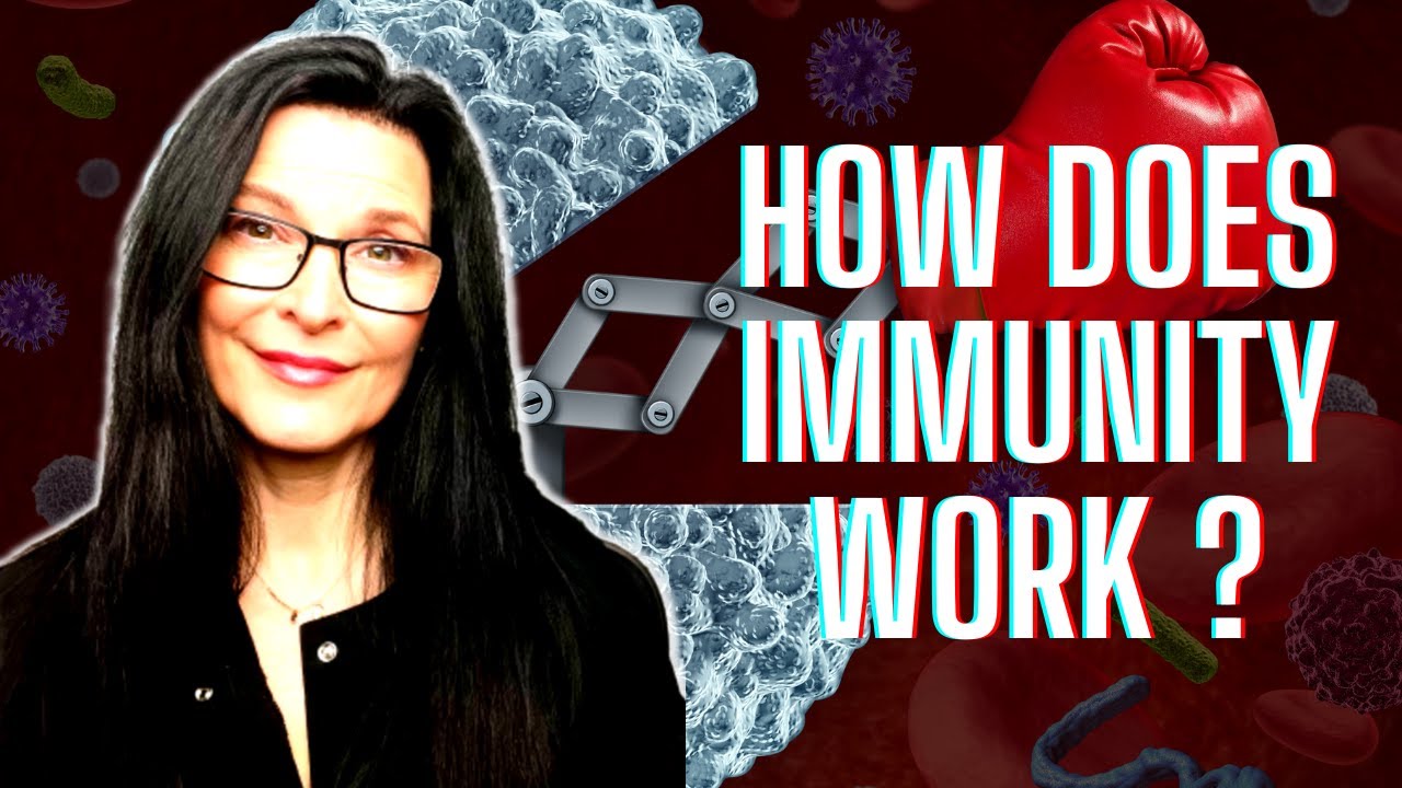 The Immune System Crash Course: How Your Body's Defense System Works ...