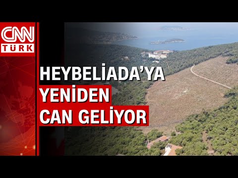 Heybeliada'daki yanan orman için yeşillendirme çalışmaları başladı