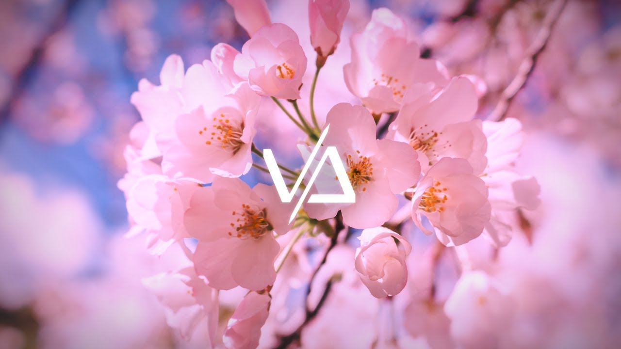 Jay Sarma & Almebo - Lizzy Boo [VarioMusic Release] - YouTube