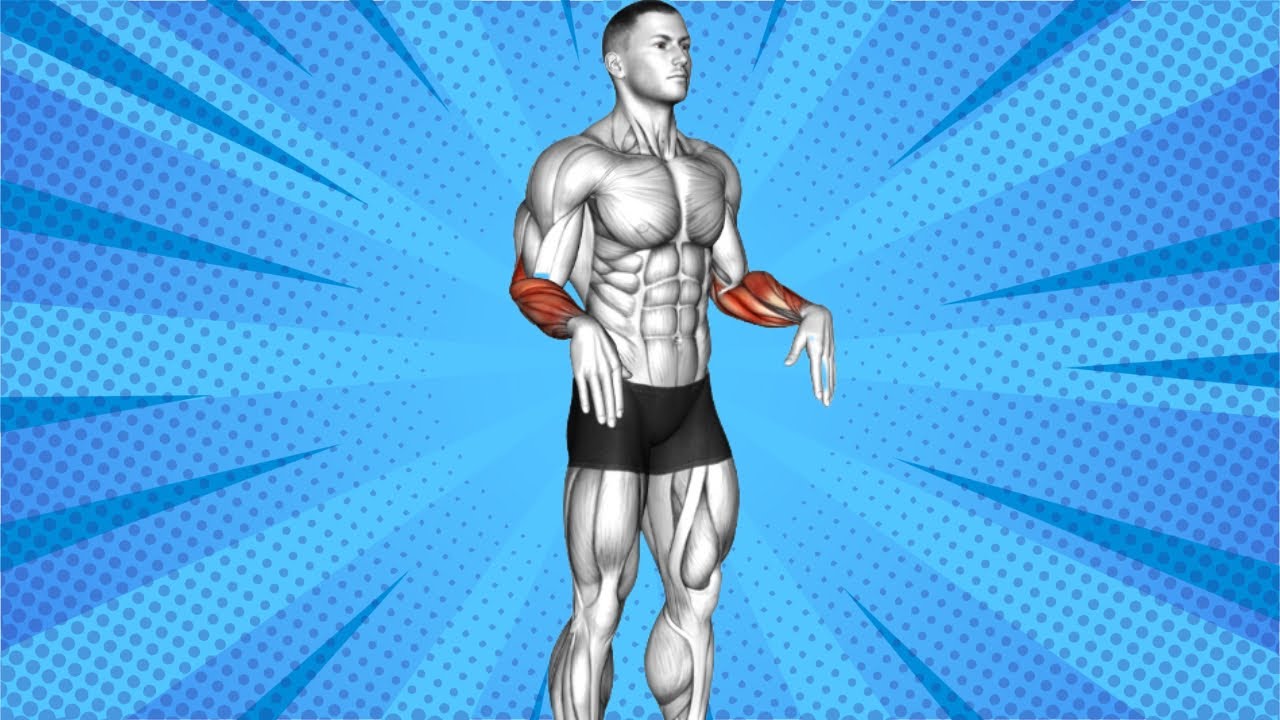 HOW TO IMPROVE YOUR FOREARMS AT HOME - YouTube