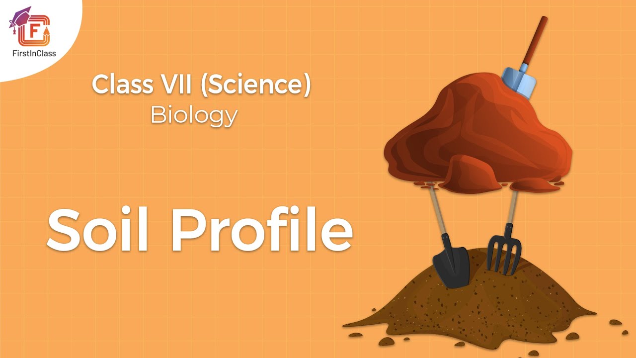 Soil Profile | Class 7 | NCERT | Biology | T-2 - YouTube