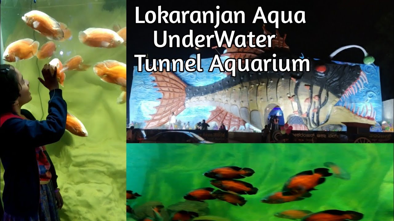 Lokaranjan Aqua World Mysore / Mysore's First Underwater Tunnel ...