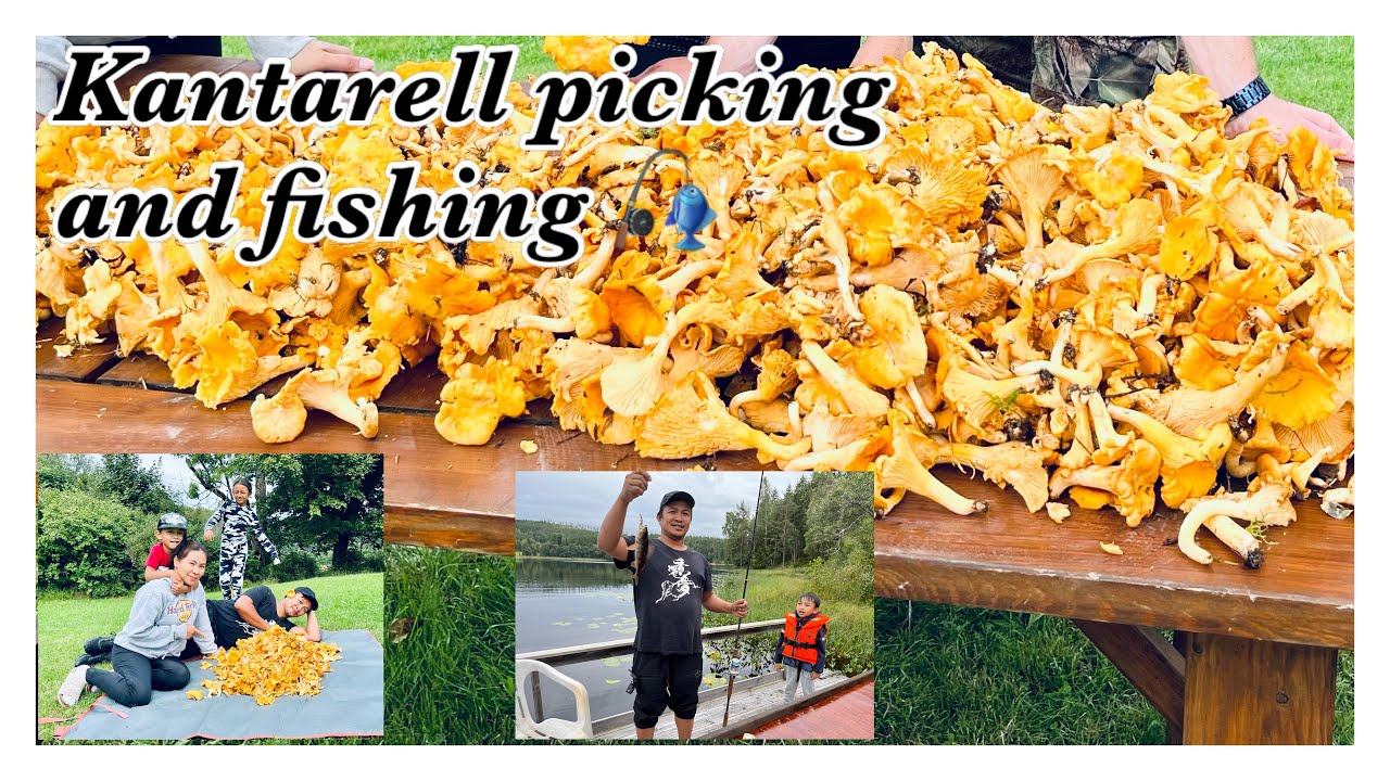 Kantarell Picking and Fishing 🎣 - YouTube