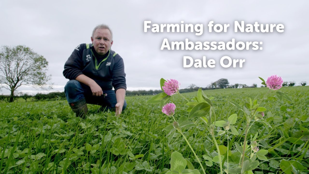 Dale Orr - Northern Ireland Farming for Nature Ambassadors 2023 - YouTube