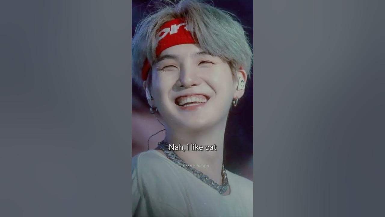 When I Say i Like Cat That s Not Mean I Like Cats It Mean i Like Cat when-i-say-i-like-cat-that-s-not-mean-i-like-cats-it-mean-i-like-cat