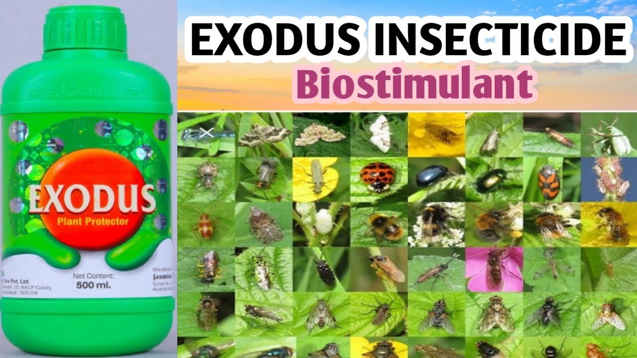 PASURA EXODUS INSECTICIDE | exodus किटकनाशक | bio stimulant - YouTube