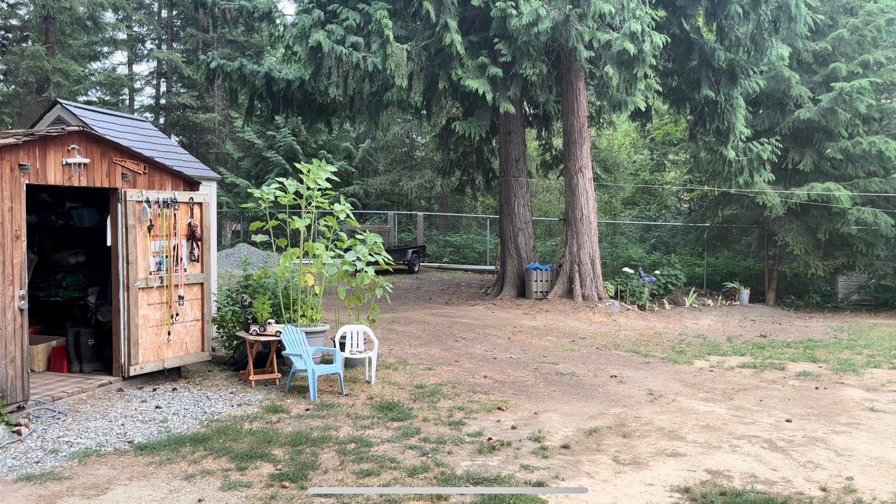 hi mom. 2023 hbd adam - YouTube